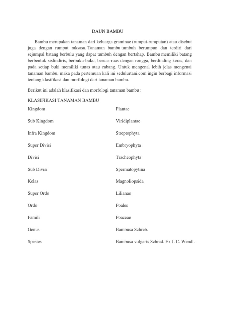 Klasifikasi dan Morfologi Daun Bambu | PDF | Griya & Taman