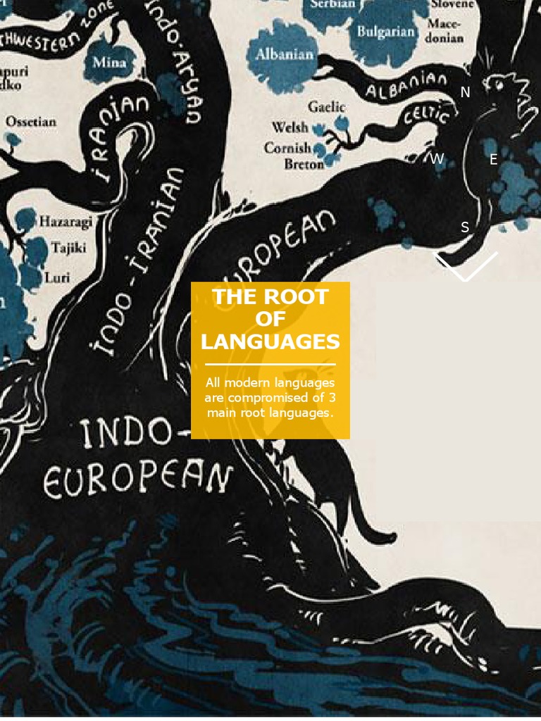 The Root of Languages | PDF