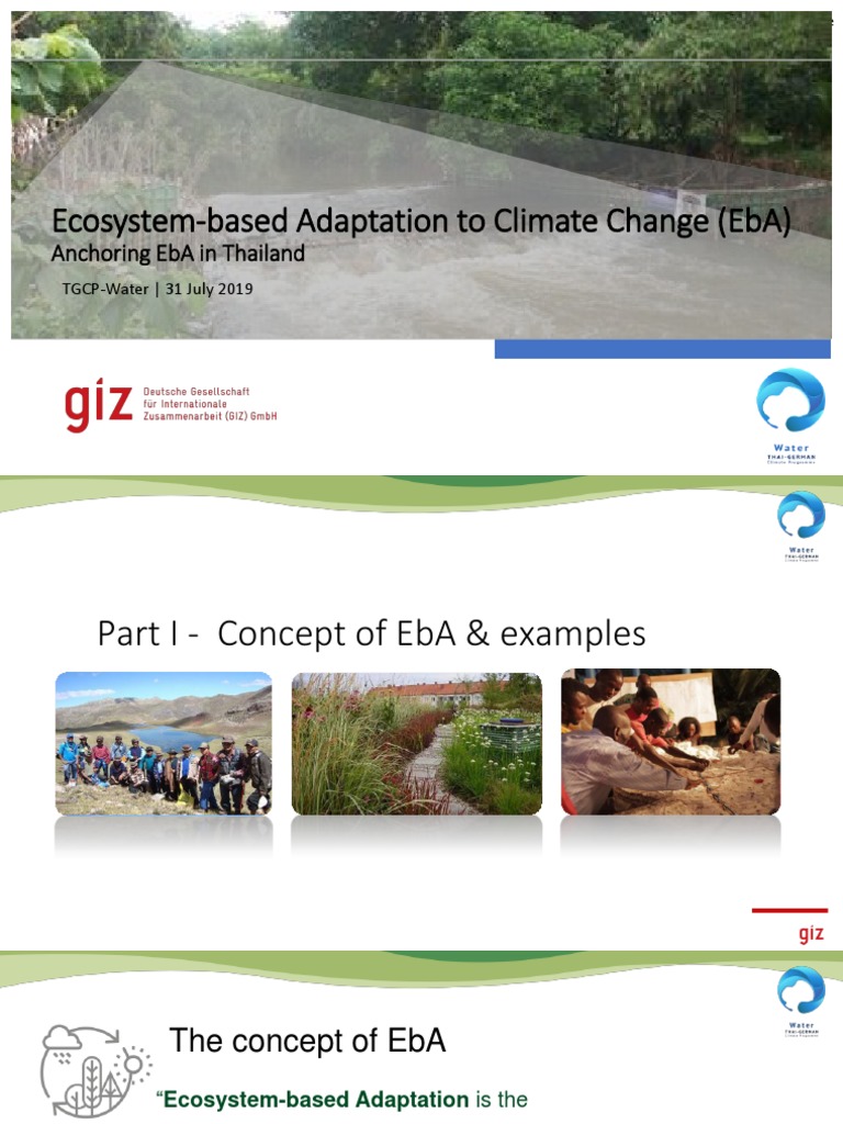 03 Ecosystem Based Adaptation To Climate Change Eba Pdf Ecosystem