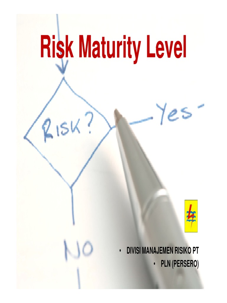 Risk Maturity Level Risk Maturity Level Risk Maturity Level Risk ...