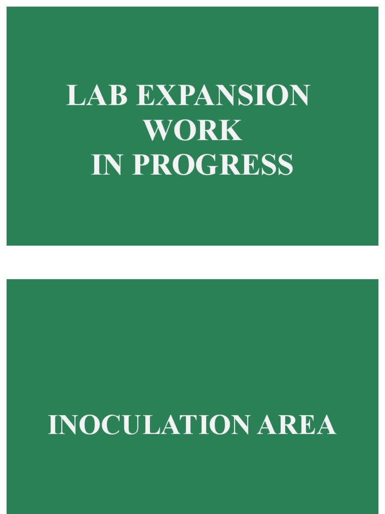 Lab Expansion Work in Progress | PDF