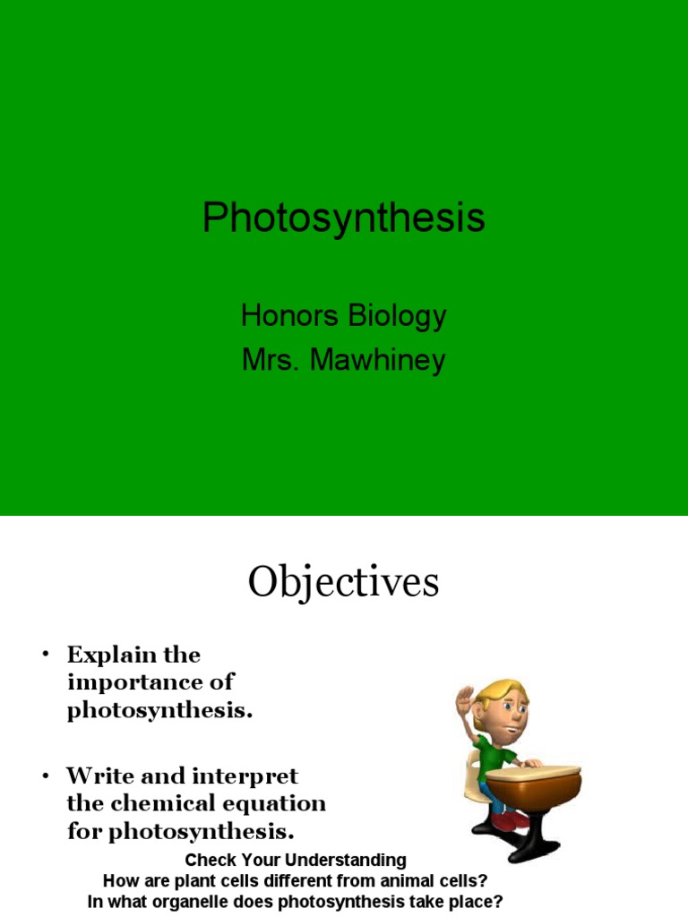 Photosynthesis: Honors Biology Mrs. Mawhiney | PDF | Chloroplast ...