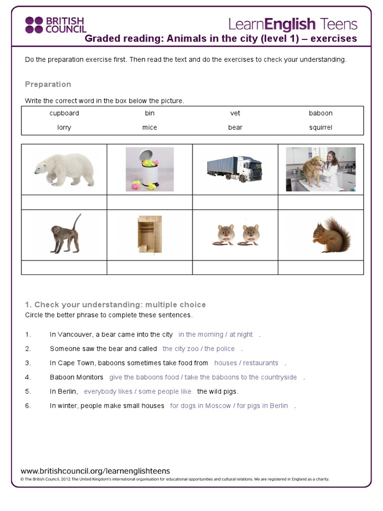 Animals in The City Level 1 - Exercises 1 PDF | PDF | Foreign Language ...