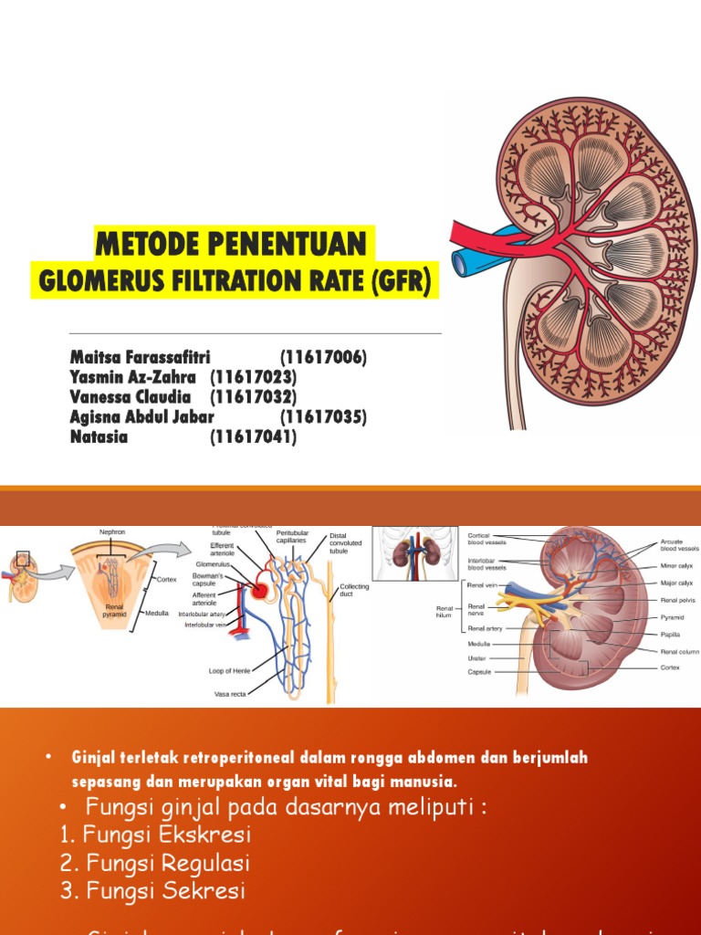 Agisna 11617035 Metode Penentuan GFR | PDF