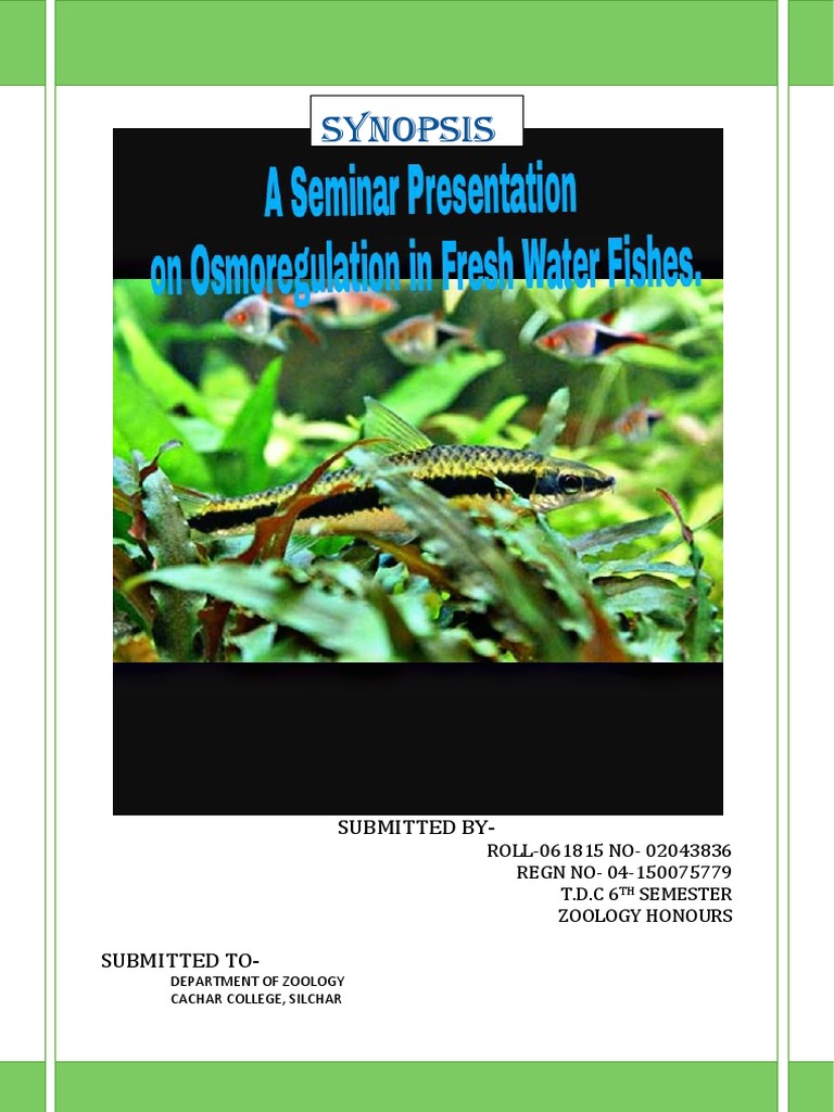 Osmoregulation in Freshwater Fishes | PDF | Osmosis | Physiology
