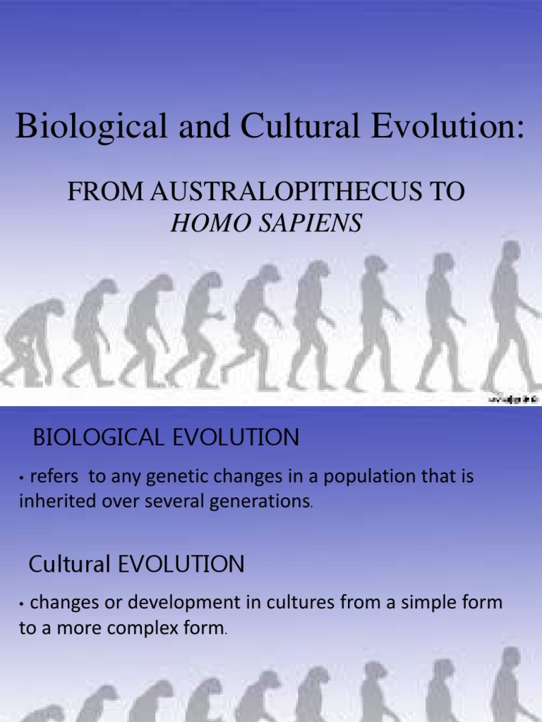 Biological and Cultural Evolution2 | PDF | Homo | Lucy (Australopithecus)