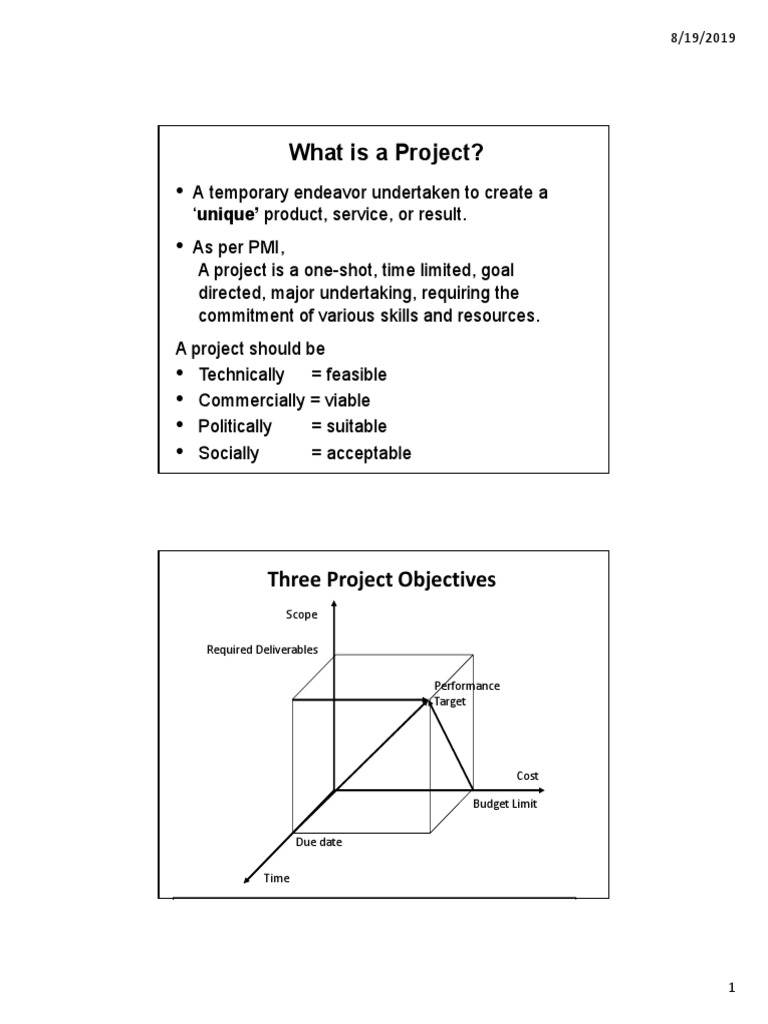 Study Material PMT 2019 | PDF | Net Present Value | Risk Management
