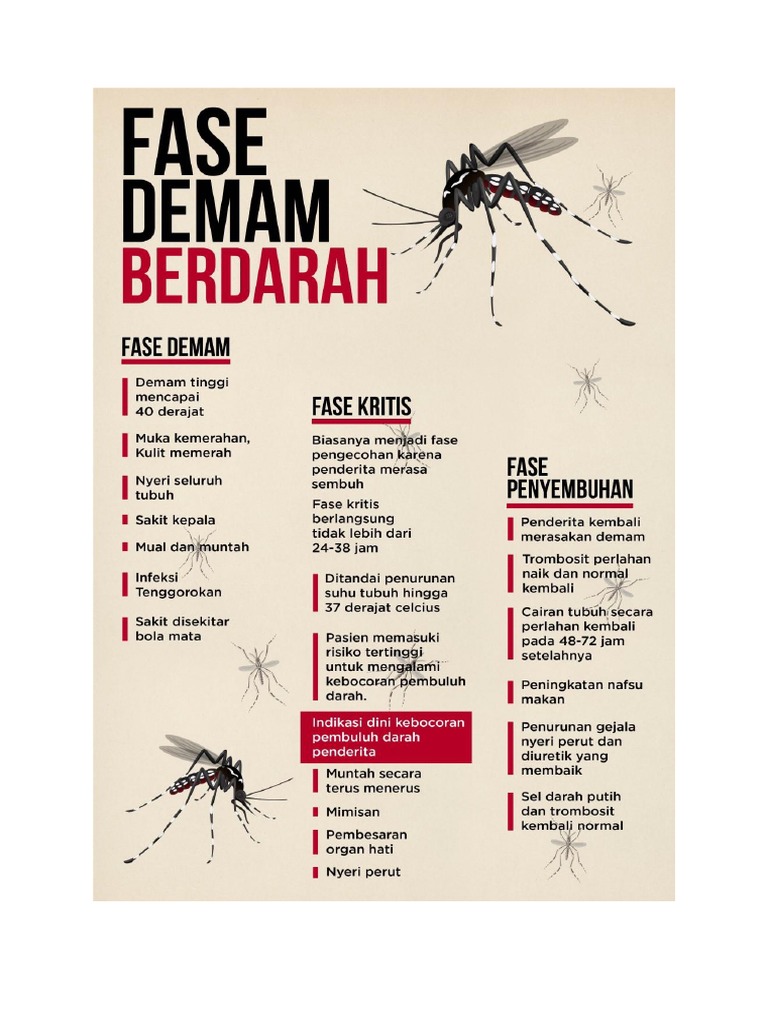 Flayer Waspada DBD | PDF