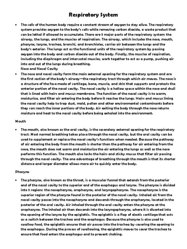 Respiratory System | PDF | Respiratory Tract | Lung
