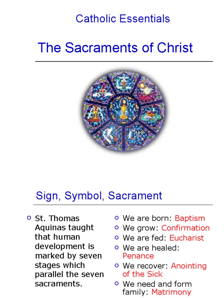 Catholic Essentials the Seven Sacraments | Eucharist | Confirmation ...