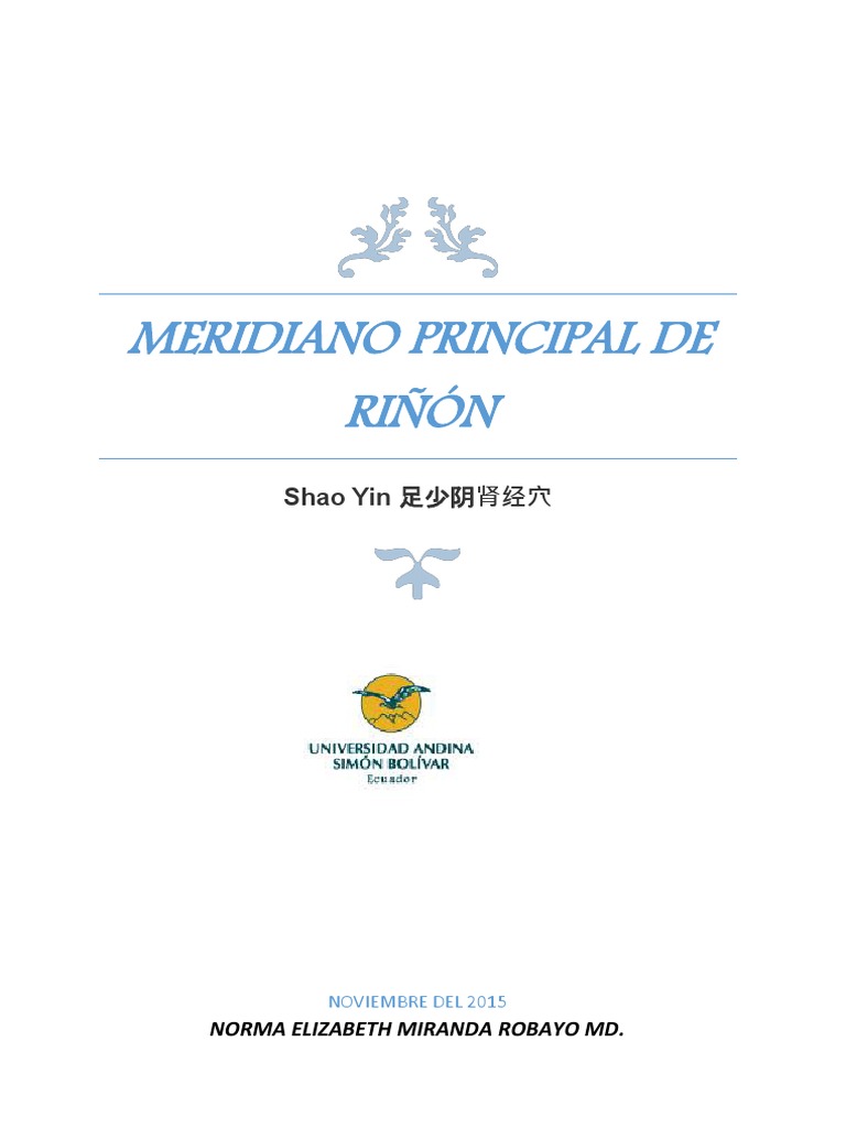 Meridiano Principal de Rinon PDF | PDF | Hueso | Yin y yang