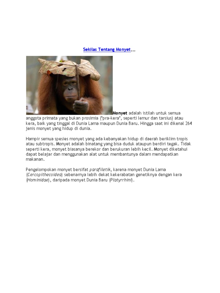 Sekilas Tentang Monyet, Kera Dan Orang Utan | PDF