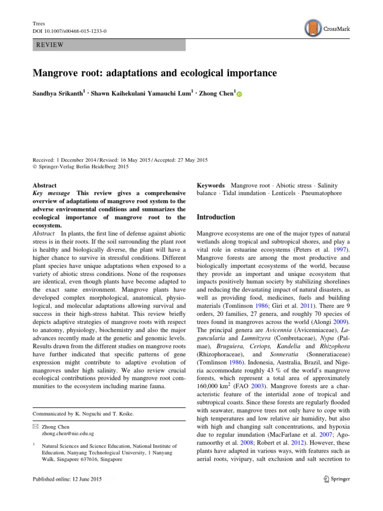 Mangrove Root: Adaptations and Ecological Importance | PDF | Mangrove ...