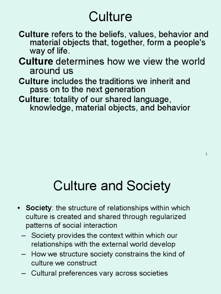 Introduction Culture PDF | PDF | Value (Ethics) | Society