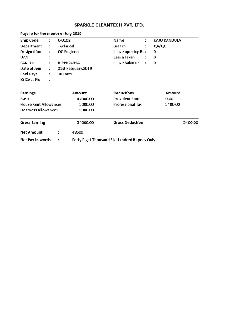 Sparkle Cleantech Pvt. LTD.: Payslip For The Month of July 2019 | PDF