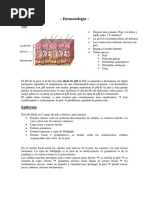 Dermatitis Berloque: Causas y Tratamiento | PDF | Piel | Corticosteroides