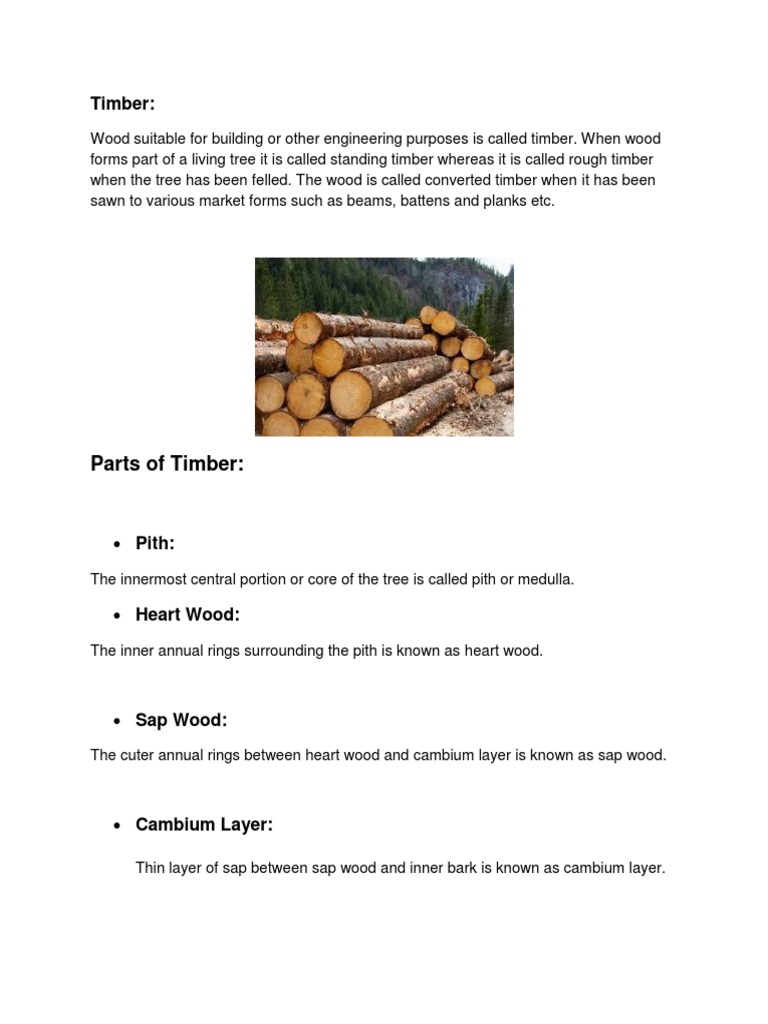 Parts of Timber | PDF | Wood | Lumber