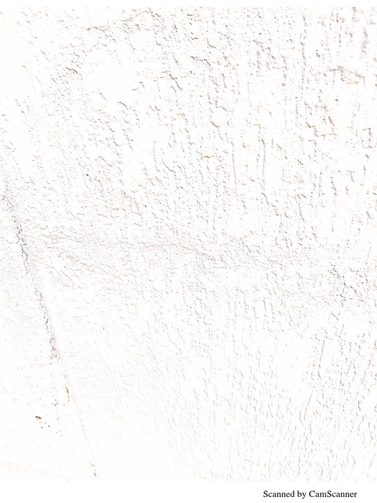 CamScanner User Guide | PDF