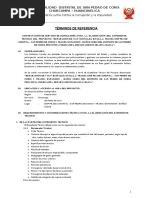 Informe de Revision de Expediente Tecnico | PDF