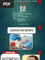 Proceso y Tipos de Examen de Esputo | PDF | Neumonía | Microbiología