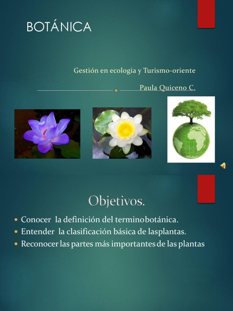 Botanica | PDF