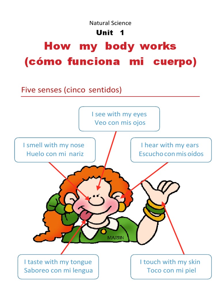 How My Body Works | PDF | Sistema digestivo humano | Anatomía de los ...