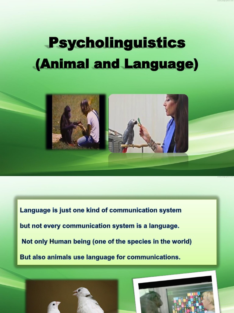 Human vs Animal Communication Systems | PDF