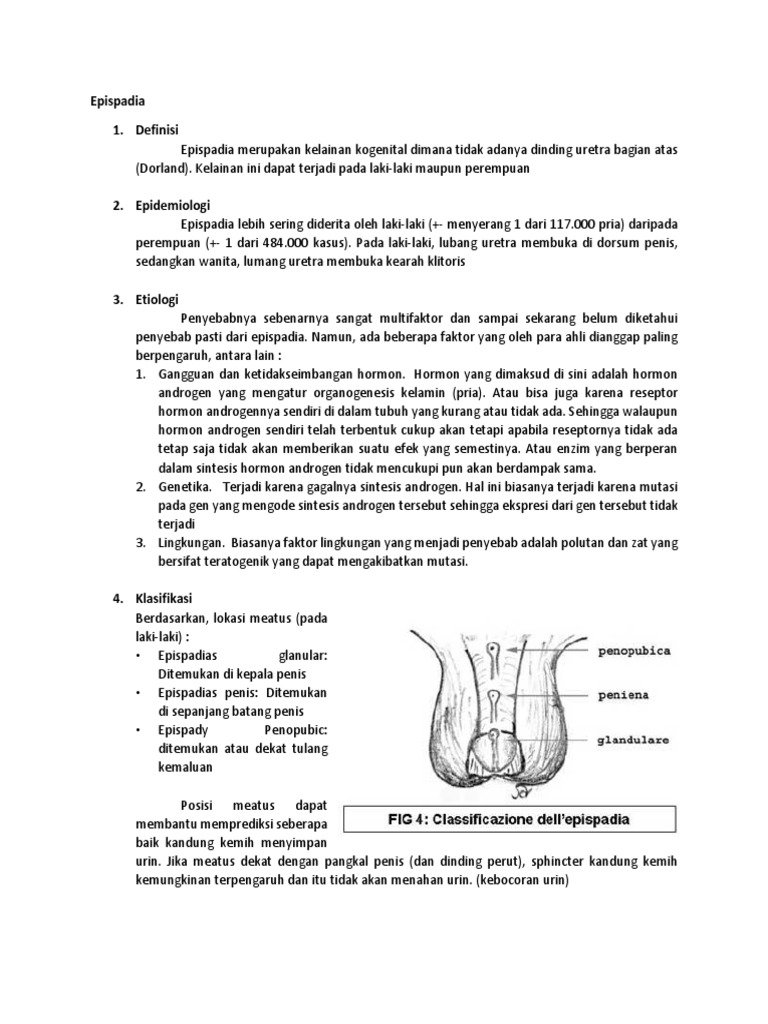 Epispadia: Panduan Medis Lengkap | PDF | Pengembangan Diri | Kesehatan ...