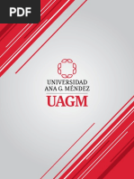 Inducción Umg Canvas | PDF