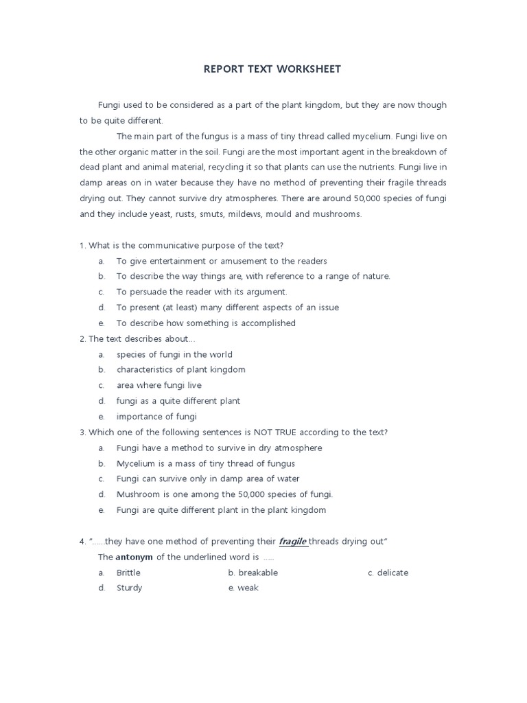 Report Text Worksheet | PDF | Spider | Fungus