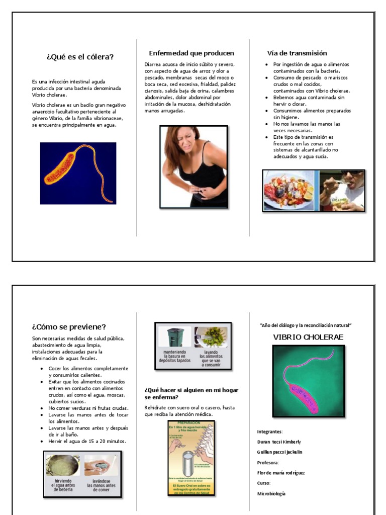 Información sobre el cólera y su prevención | PDF | Cólera | Diarrea