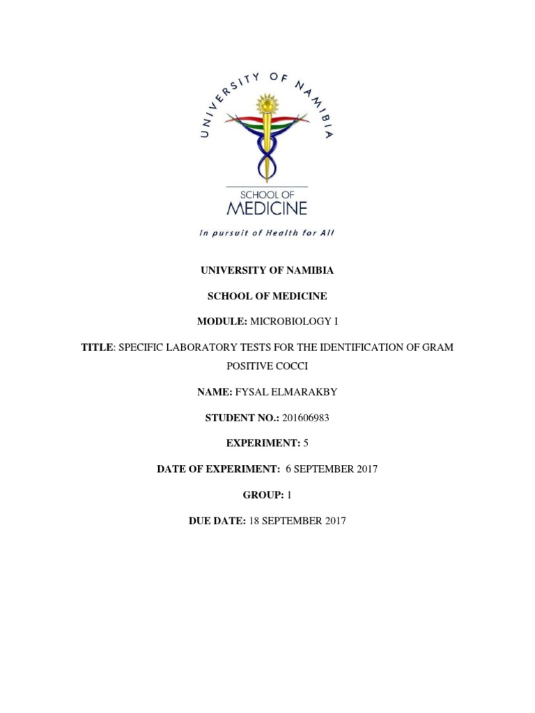 Specific Laboratory Tests For The Identification of Gram Bacteria | PDF ...