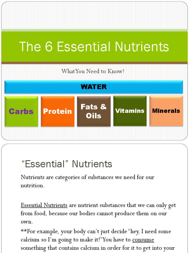 Overview of 6 Essential Nutrients | PDF | Nutrients | Carbohydrates