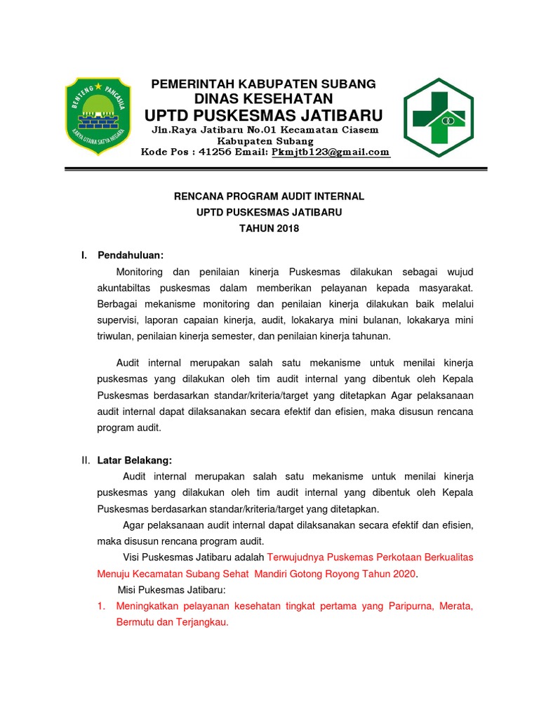 Rencana Audit Internal Puskesmas Jatibaru | PDF