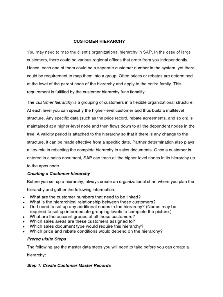 Creating A Customer Hierarchy | PDF | Hierarchy | Rebate (Marketing)