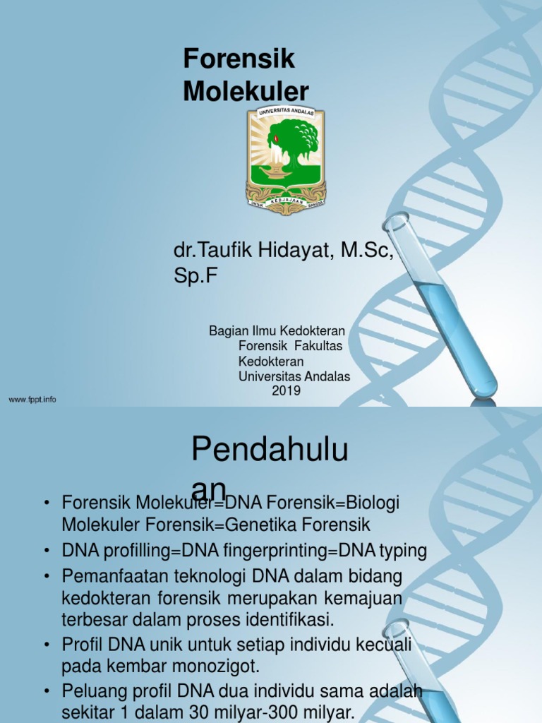 PEMERIKSAAN DNA FORENSIK | PDF