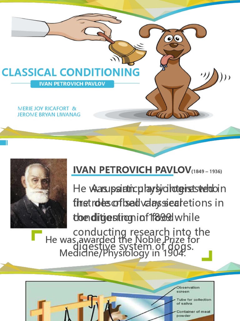 Pavlov's Classical Conditioning | PDF | Classical Conditioning ...