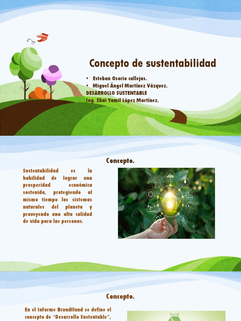 Concepto de Sustentabilidad | PDF | Desarrollo sostenible | Ciencias sociales ambientales