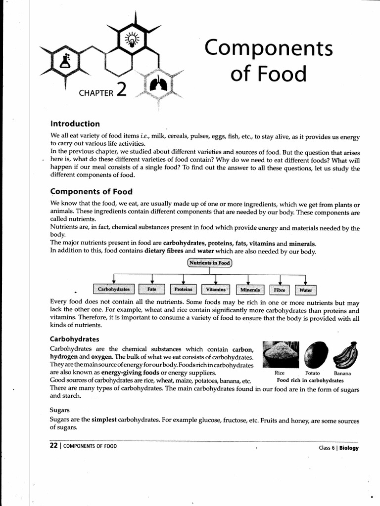 Components of Food | PDF