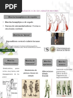 Tipos de Marchas Patológicas | PDF | Pie | Rodilla
