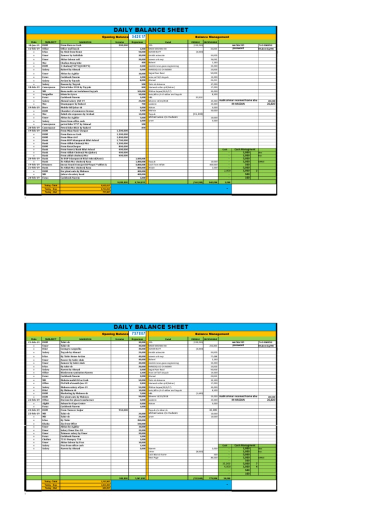 Daily Balance Sheets | PDF | Business
