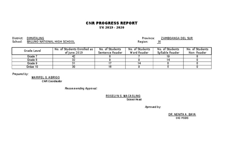 CNR Progress Report 2019-2020 | PDF