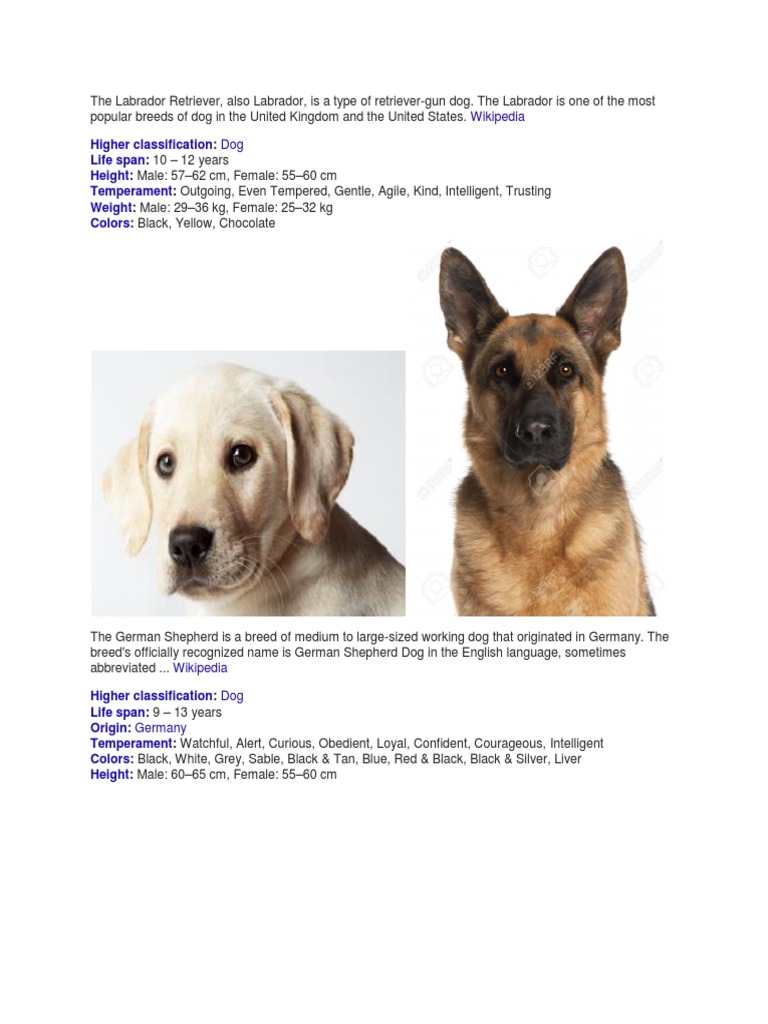 Wikipedia Dog: Higher Classification Life Span Height Temperament ...