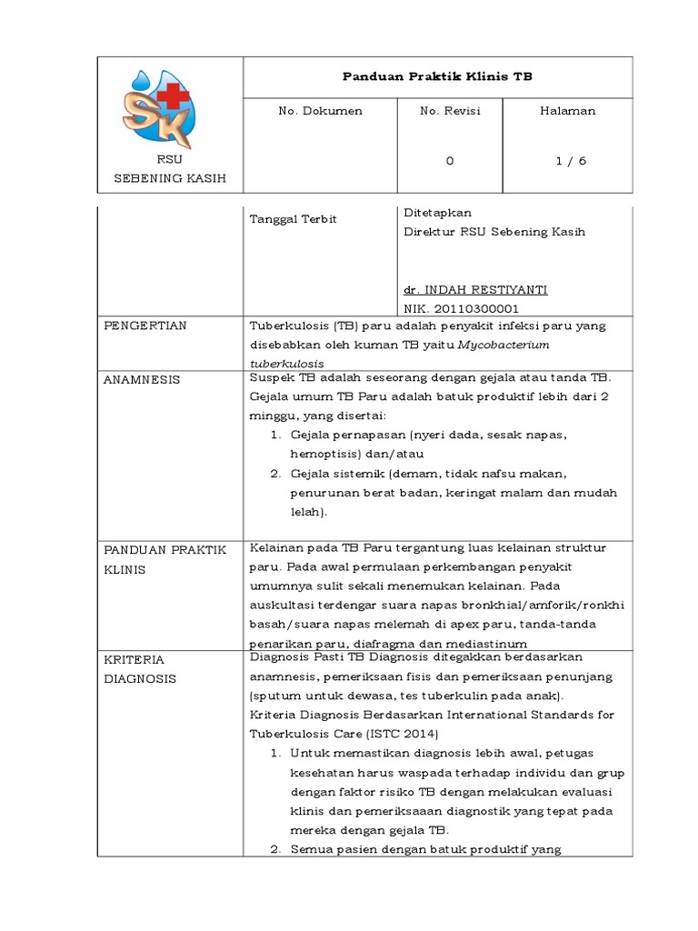 Panduan Skoring TB Anak dan Amforik | PDF