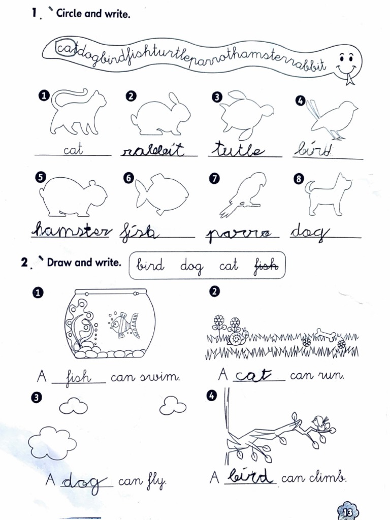 All About Us 1 | PDF