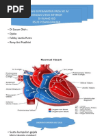 Tabel Dosis Pemberian Vascon | PDF