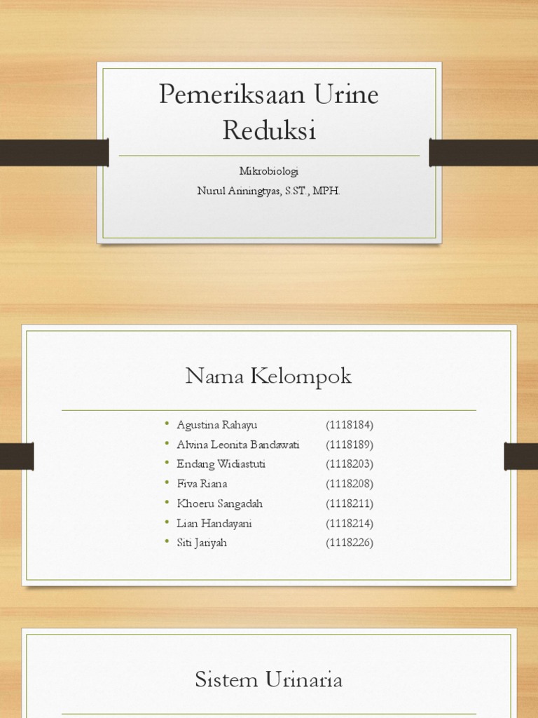 (PPT) Pemeriksaan Urine Reduksi | PDF
