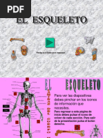 Esqueleto Recortable | PDF