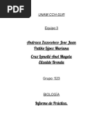 Partes Del Paramecio | PDF | Bioquímica | Química