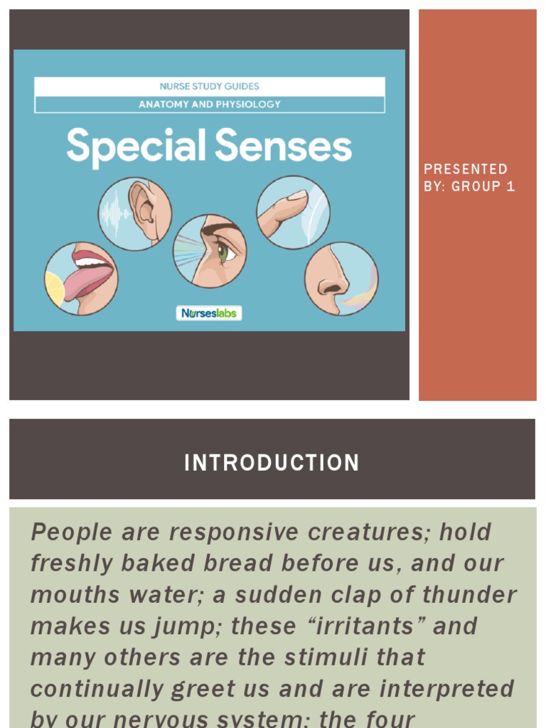 The Special Senses | PDF | Ear | Senses